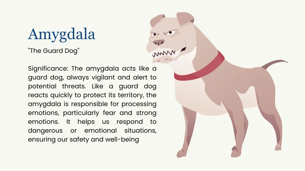 Anxiety Treatment Dublin | Therapy, CBT & Counselling Ireland | Dr ...