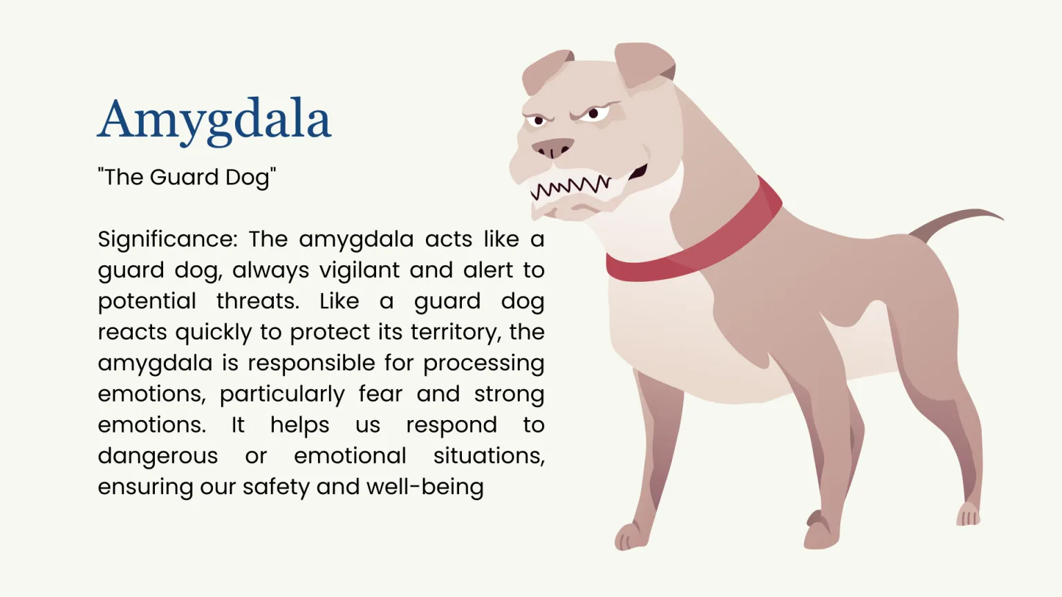 Anxiety Treatment Dublin | Therapy, CBT & Counselling Ireland | Dr ...